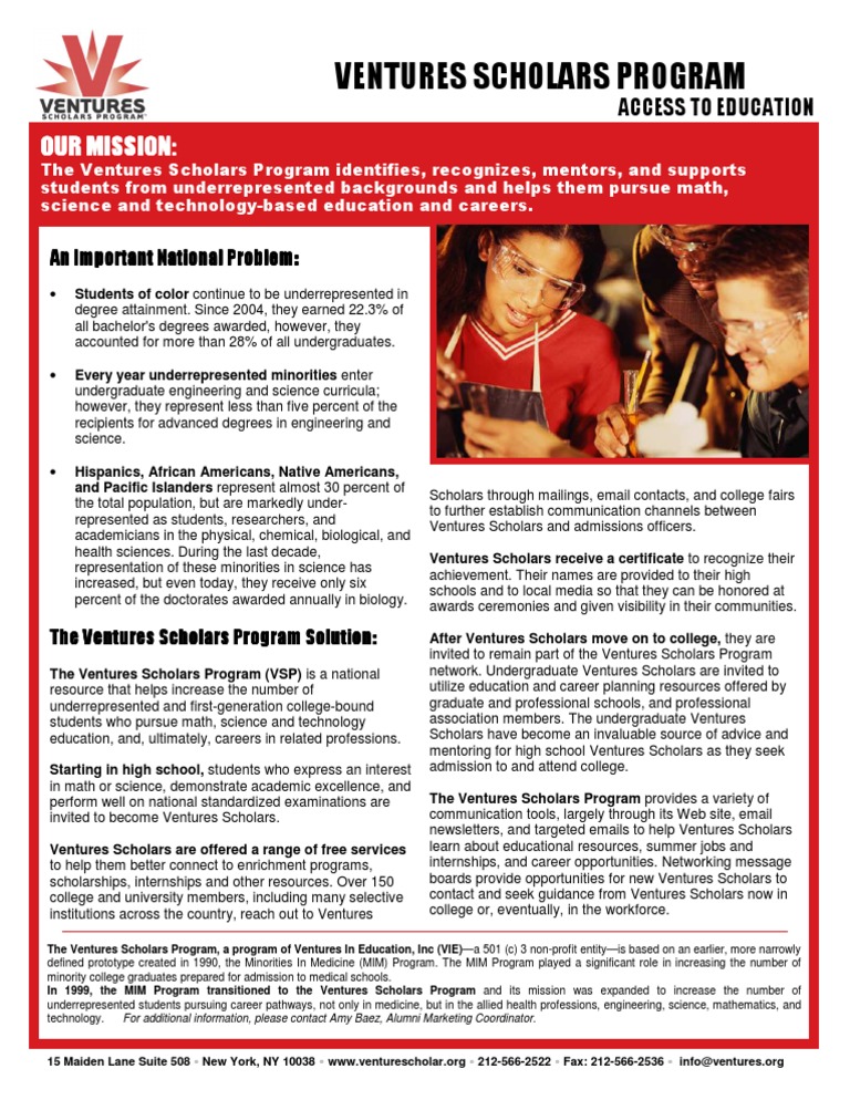VSP Overview Flyer | PDF | Bachelor's Degree | Mentorship