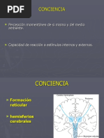 Fases Neurologicas de La Hipoglucemia | PDF
