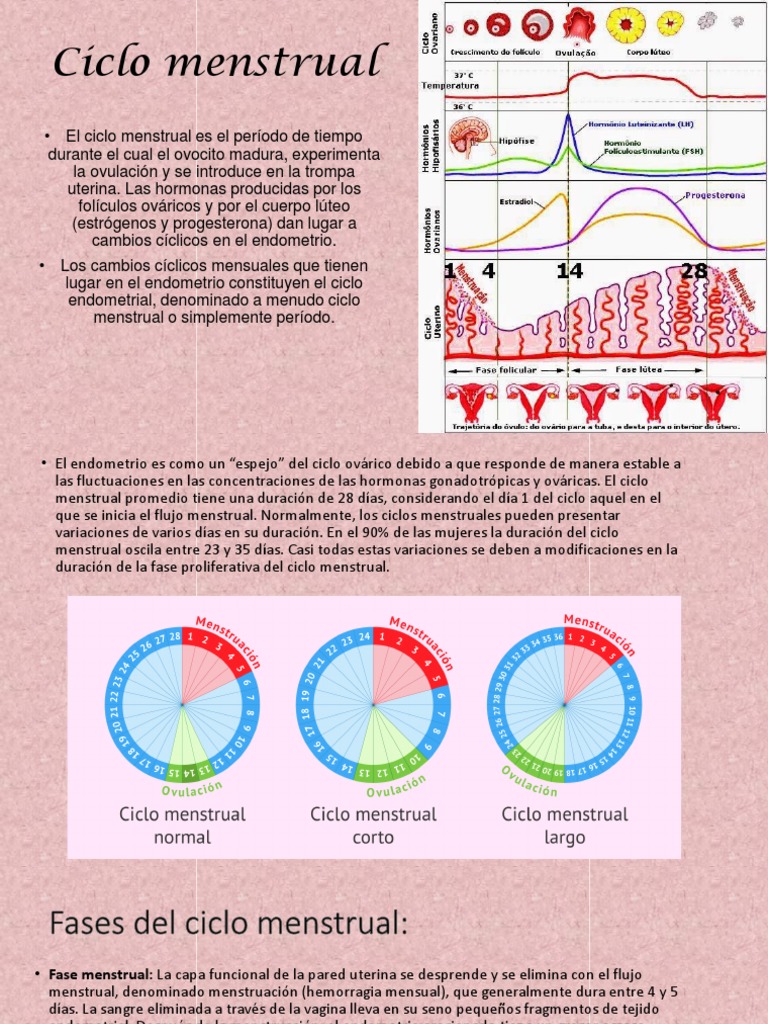 Ciclo Menstrual | PDF | Ciclo menstrual | Menstruación