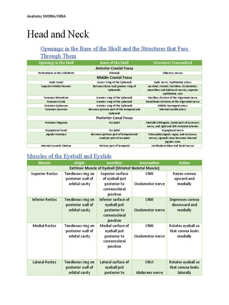 Head and Neck: Openings in The Base of The Skull and The Structures ...