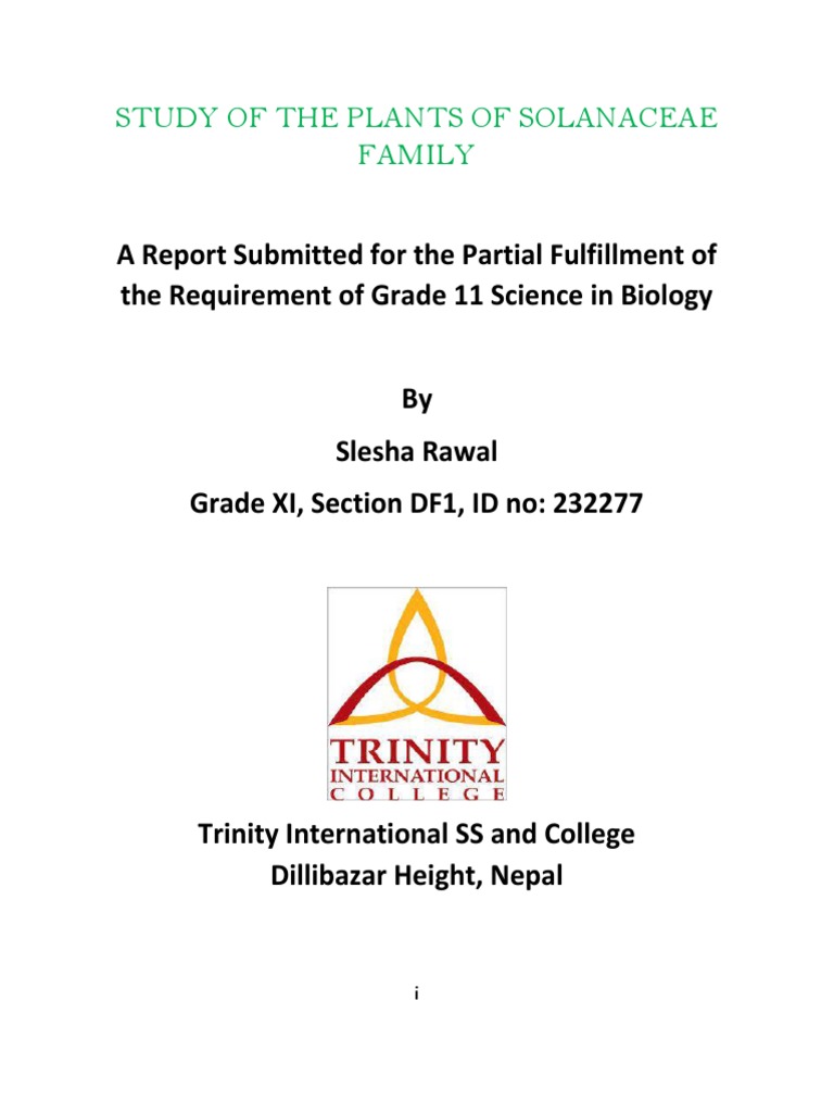 Solanaceae Family: Study and Importance | PDF | Plants | Botany