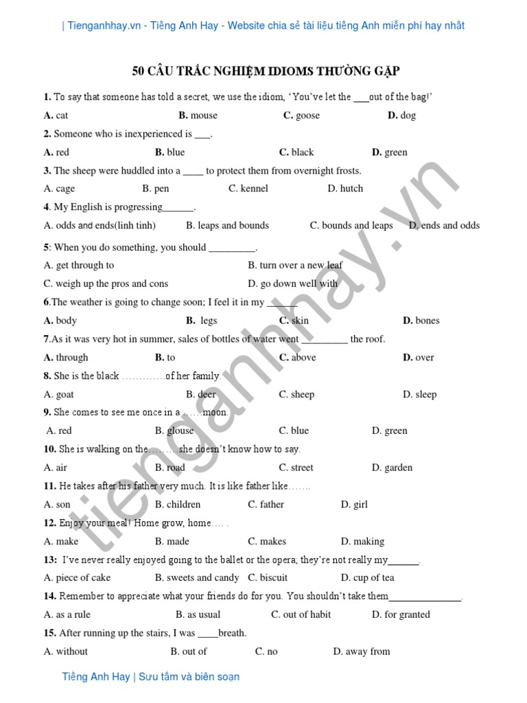 50 Common Idioms Quiz | PDF