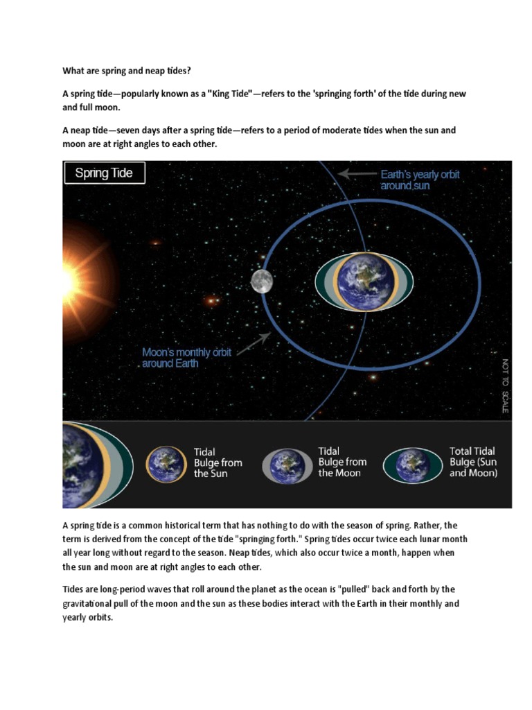 What Are Spring and Neap Tides | PDF | Tide | Moon