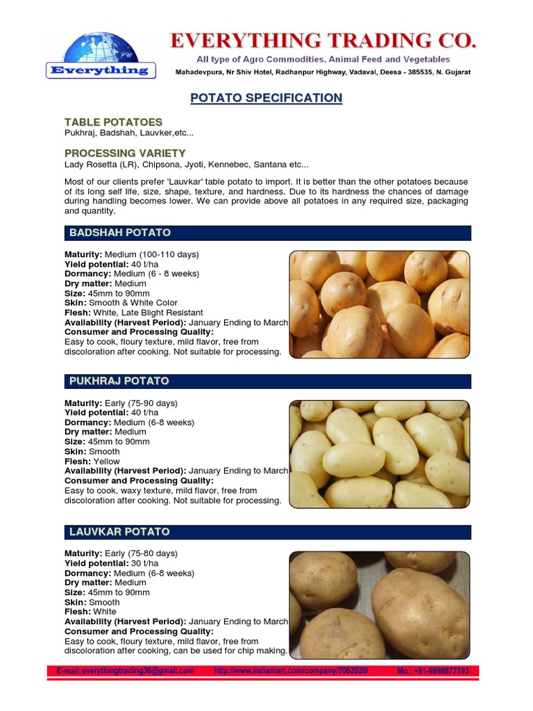 Potato Specification | PDF | Potato | French Fries