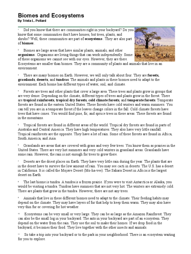 Biomes and Ecosystems Reading | PDF | Forests | Rain