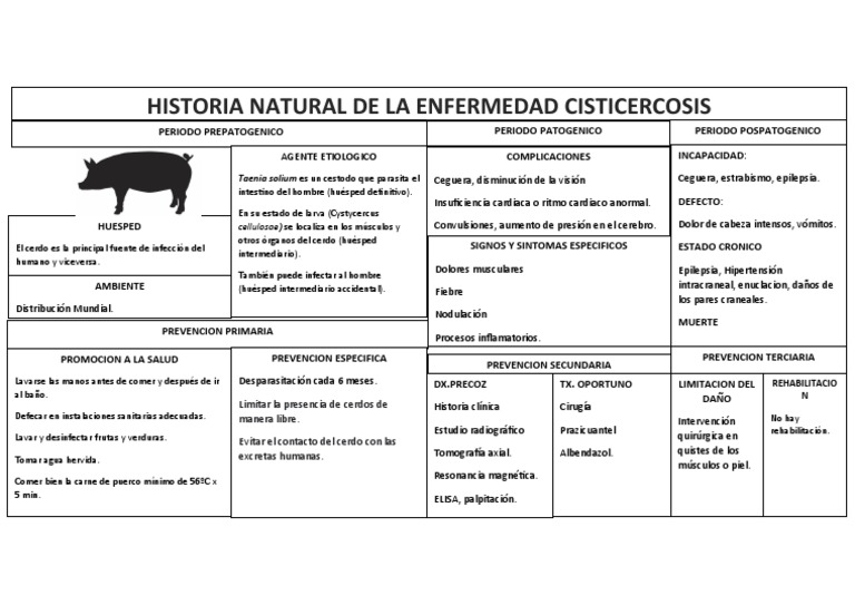Historia Natural de La Cisticercosis2 | PDF | Enfermedades y trastornos ...