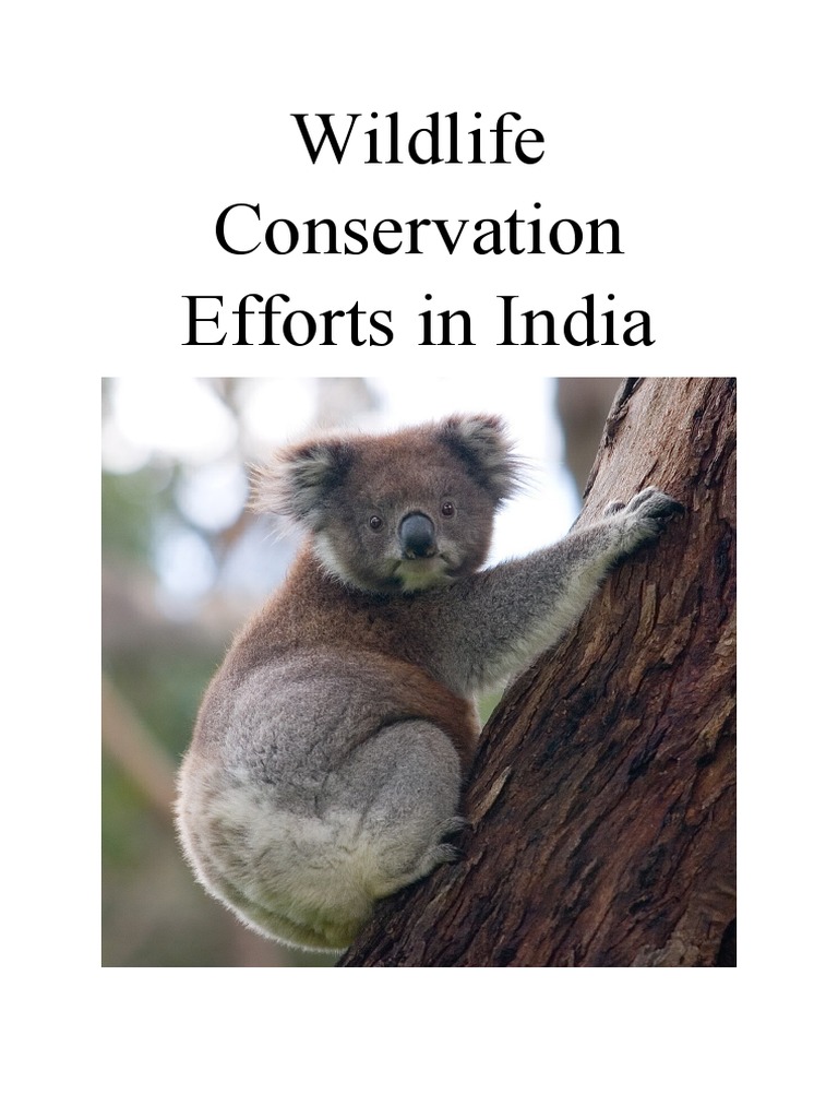 Wildlife Conservation Efforts in India | PDF | Habitat Destruction ...