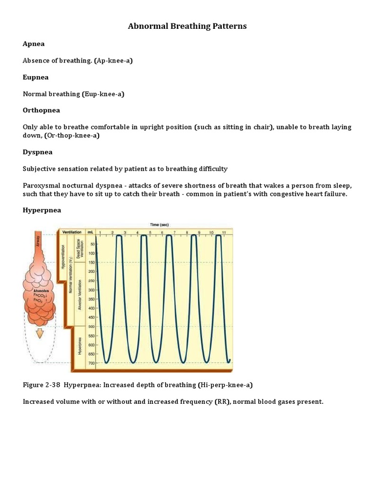 Overview of Abnormal Breathing Patterns | PDF | Breathing | Apnea
