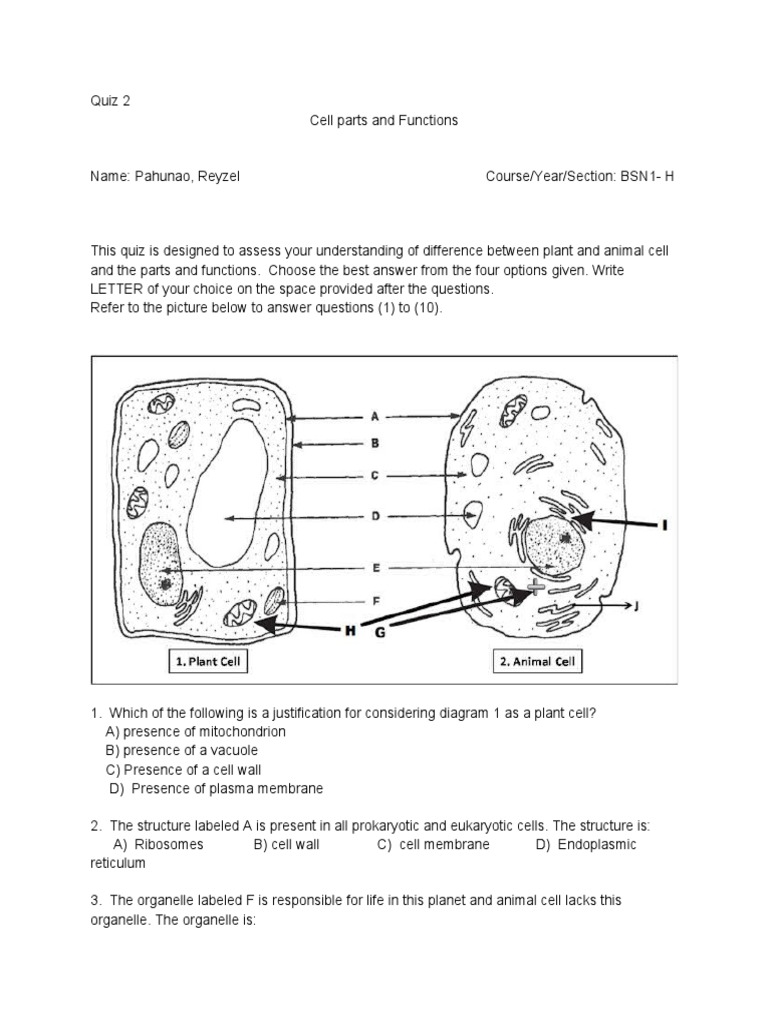Plant and Animal Cell Quiz | PDF | Cell (Biology) | Eukaryotes