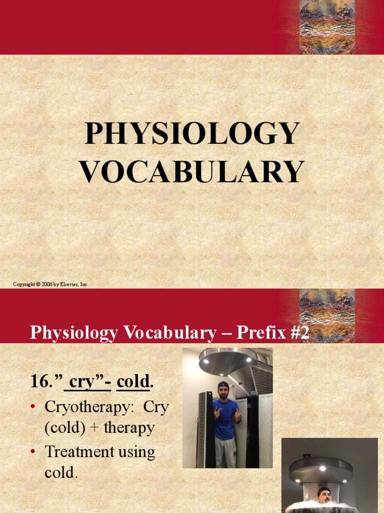 Physiology Vocabulary 4 | PDF | Wellness | Science & Mathematics