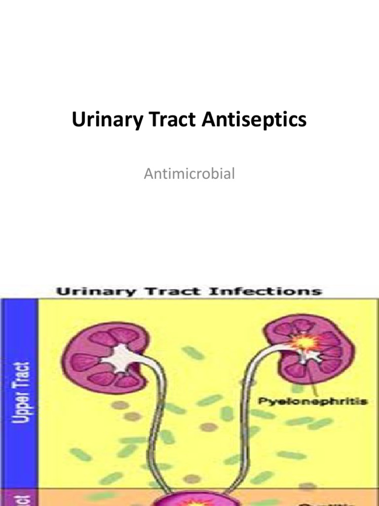 Urinary Tract Antiseptics: Antimicrobial | PDF | Urinary Tract ...