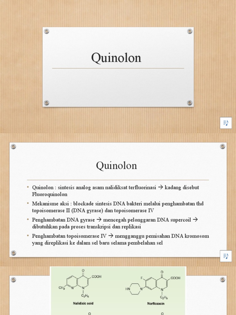 T9 - Quinolon | PDF