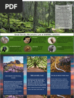 Tree Identification Cards | PDF | Flora | Trees