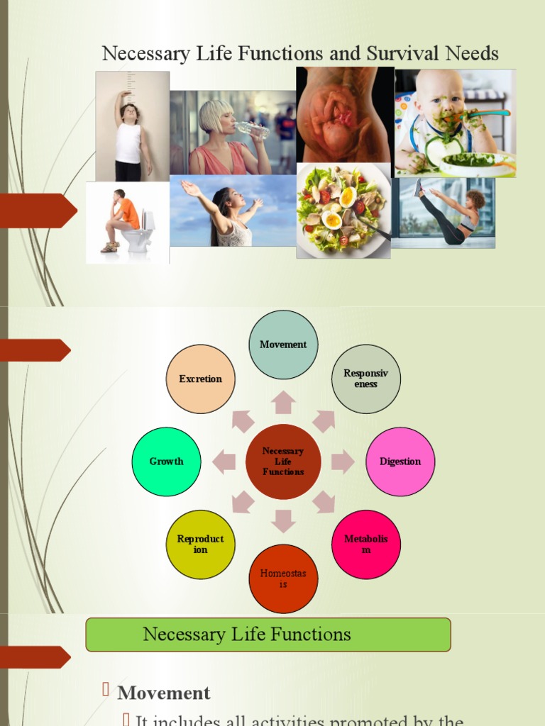 AnaPhyLc - 1.3 Necessary Life Functions and Survival Needs | PDF ...