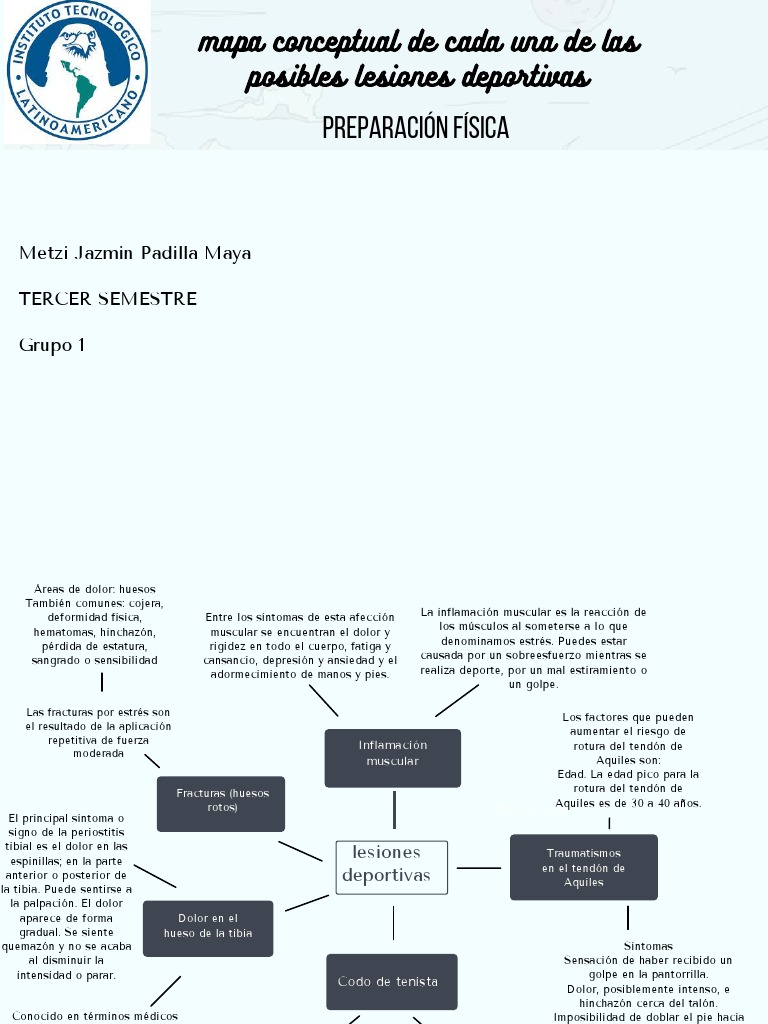 Mapa Conceptual | PDF | Hombro | Rodilla