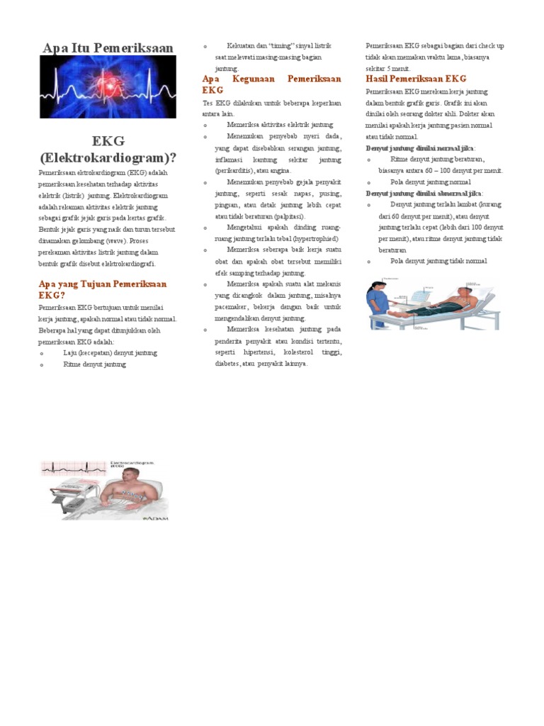 Leaflet Ekg | PDF