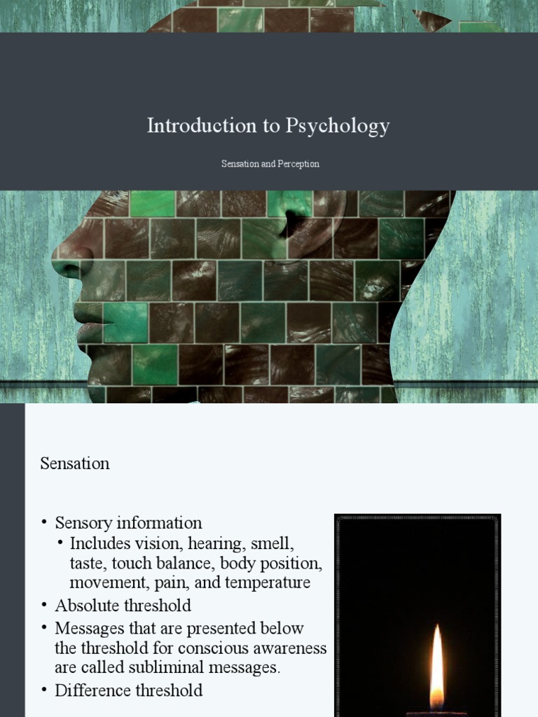 Introduction To Psychology: Sensation and Perception | PDF | Perception ...