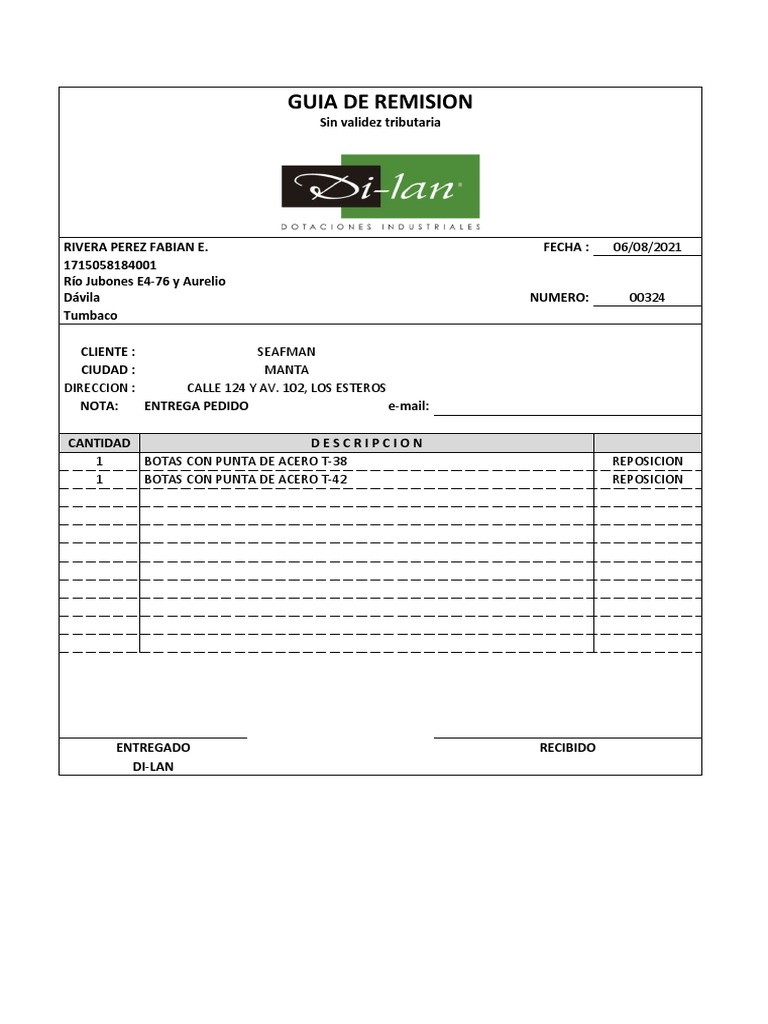 Guia de Remision Manual | PDF