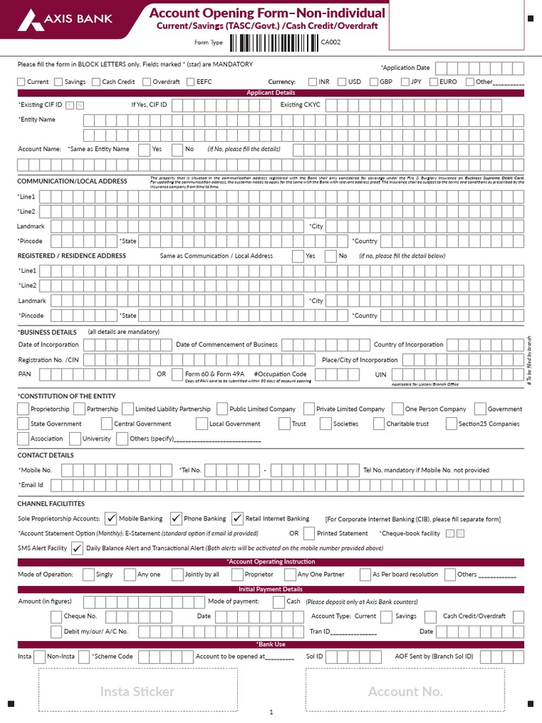 Non-Individual Account Opening Form | PDF | Banks | Identity Document