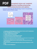 Cervical Anatomy and Histology Overview | PDF | Epithelium | Histology