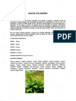 Sacha Culantro | PDF | Hierbas y especias | Alimentos