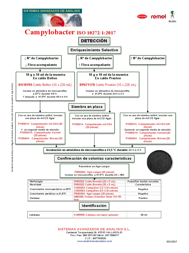 Campylobacter ISO 10272-1 2017 | PDF | Bacterias Gram-negativo | Las bacterias