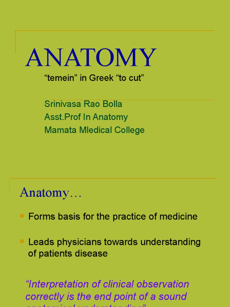 Introduction to Human Anatomy | PDF | Wellness