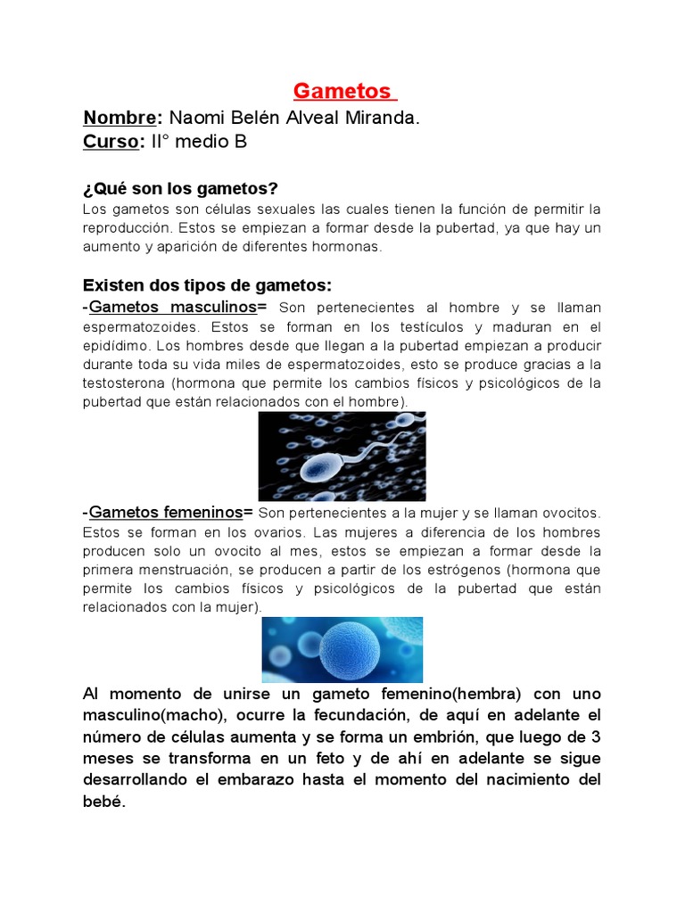 Gametos: Células Sexuales y Reproducción | PDF | Ciencias sociales