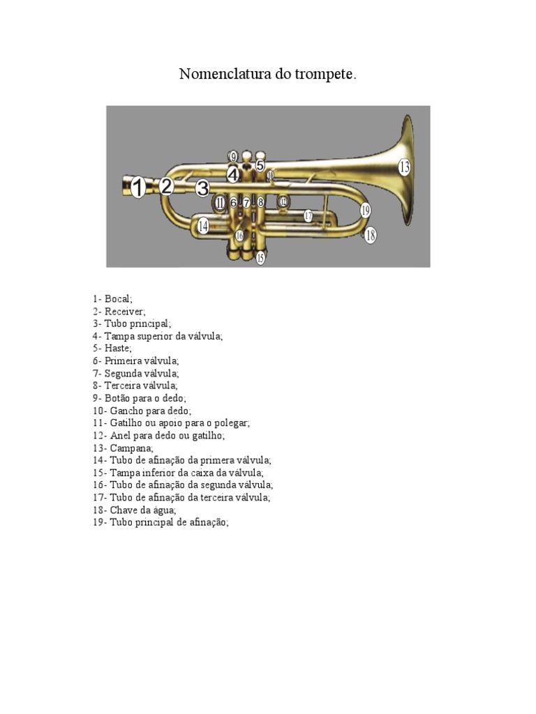 Nomenclatura Do Trompete | PDF