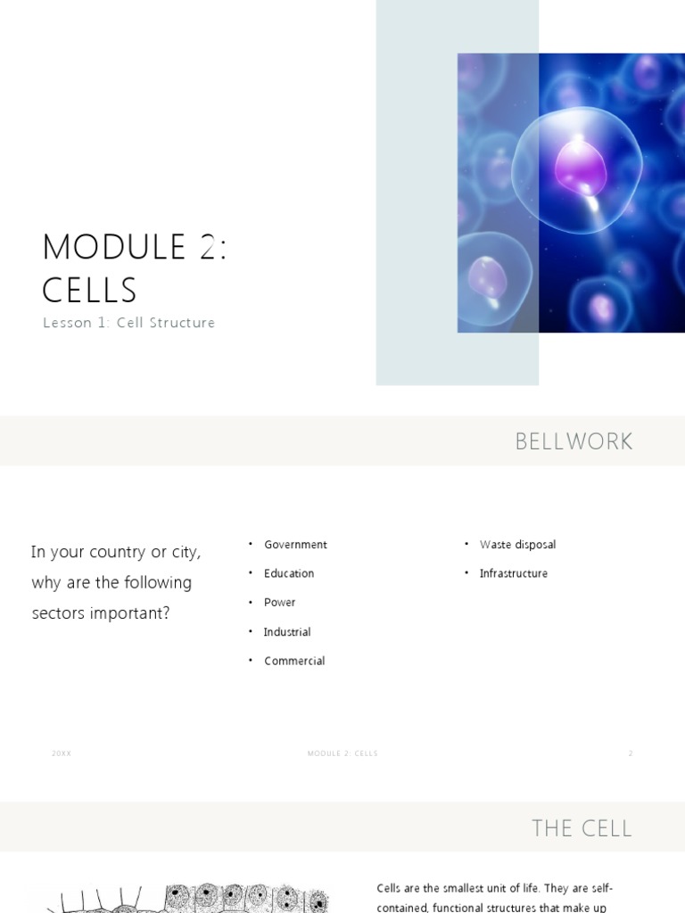 PPT 3 Cell Structure | PDF | Cell (Biology) | Endoplasmic Reticulum