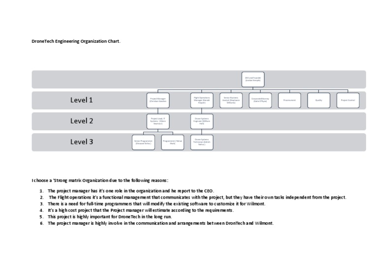 DroneTech Engineering Organization Chart: A Strong Matrix Structure for ...