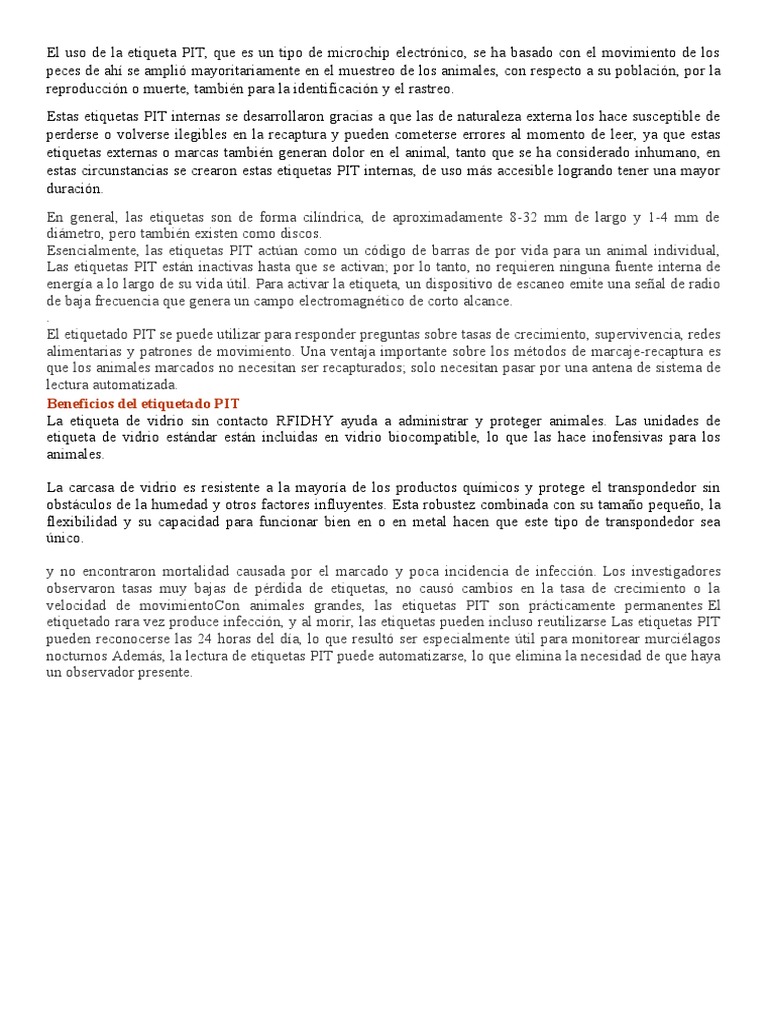 El Uso de La Etiqueta PIT | PDF | Lentes