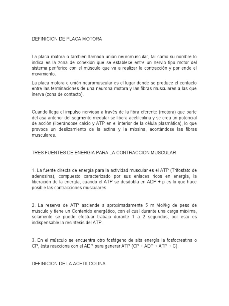 Definición y Función de la Placa Motora | PDF | Contracción muscular ...