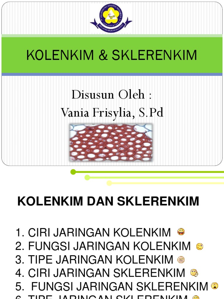 Bahan Ajar Kolenkim & Sklerenkim Vania F.,S.PD | PDF