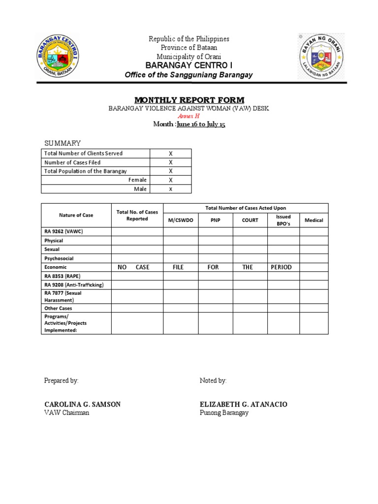 VAW FORM ANNEX H Monthly Report Form | PDF