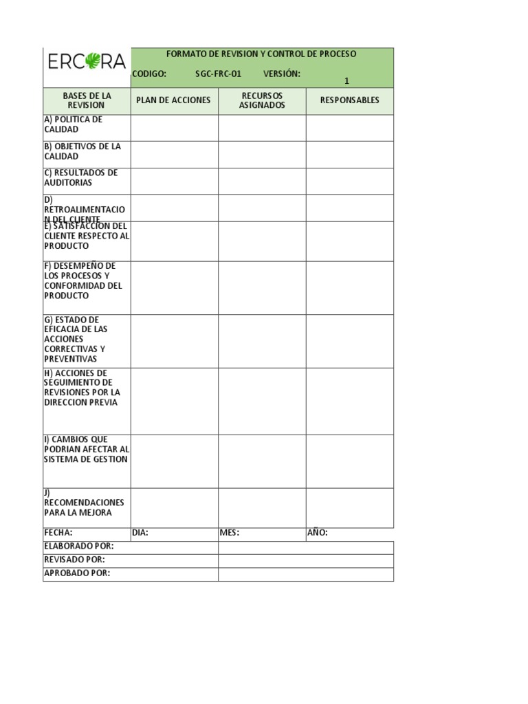 Formato de Revisión y Control de Procesos | PDF