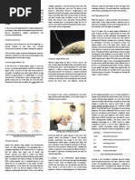 Reva Rubin Maternal Role Attainment Theory | PDF | Fetus | Pregnancy