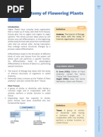 XI-Biology Ch-3 Plant Kingdom PPT-2 | PDF | Spore | Biological Processes