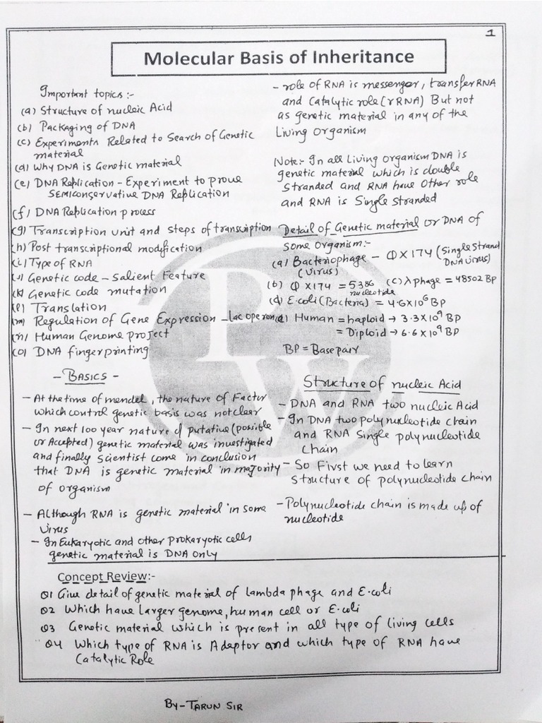 Molecular Basis of Inheritance - Hand Written Notes - Molecular Basis ...