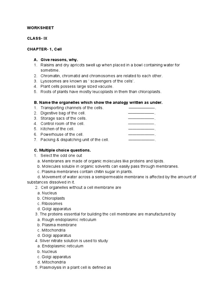 Class 9 Cell Biology Worksheet | PDF | Cell (Biology) | Cell Membrane