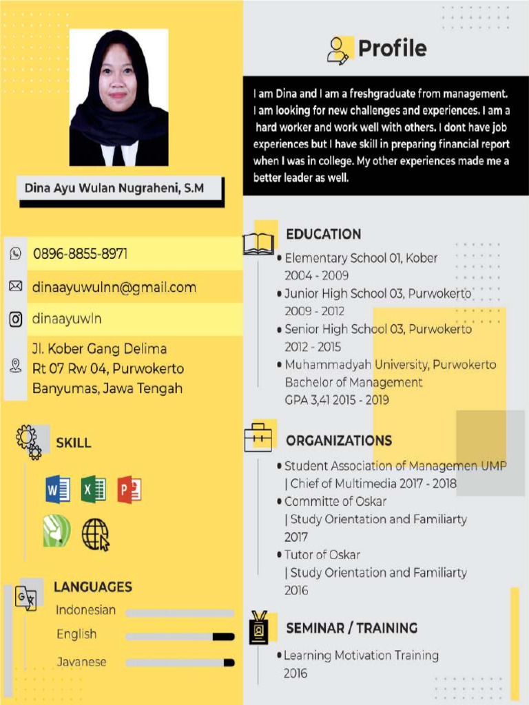 CV Dina Ayu WN | PDF