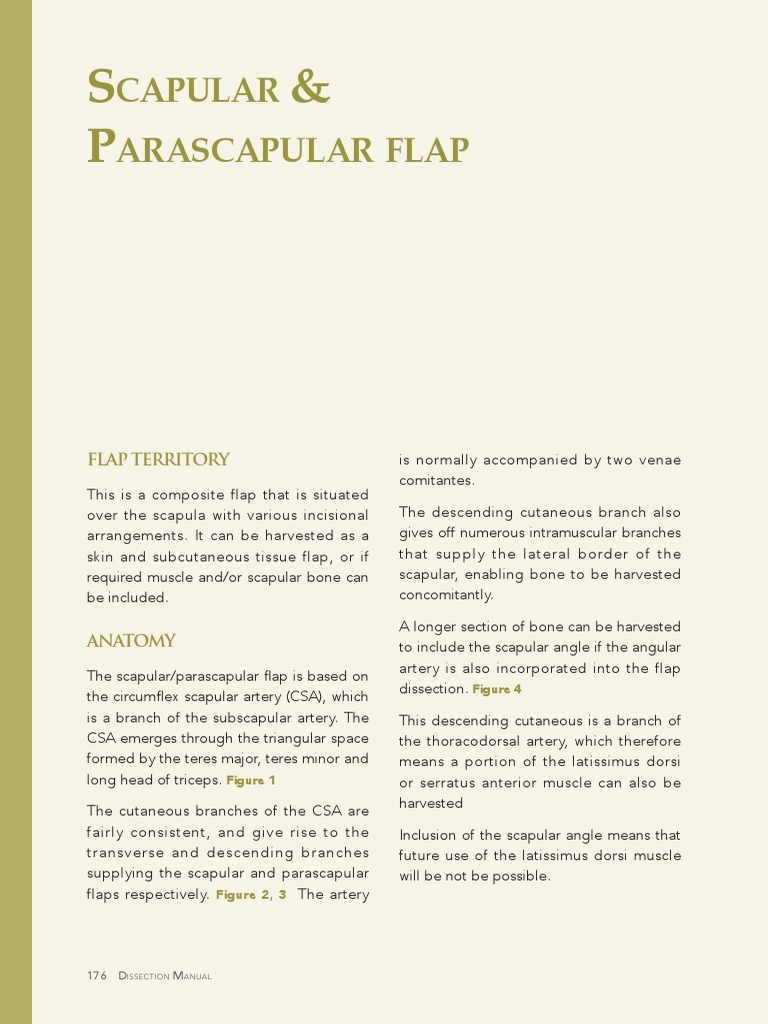 Scapular and Parascapular Flap Guide | PDF | Human Anatomy ...