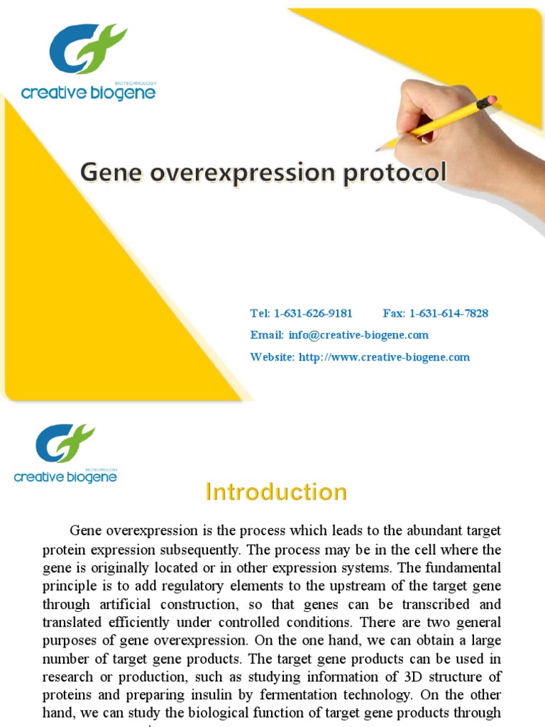 A Guide to the Process of Gene Overexpression Through Plasmid ...
