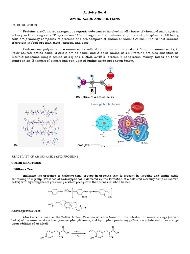 Activity No. 4 - Amino Acids and Proteins | PDF | Amino Acid | Sodium ...