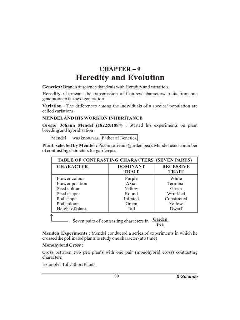 Heredity and Evolution Basics | PDF | Dominance (Genetics) | Sex