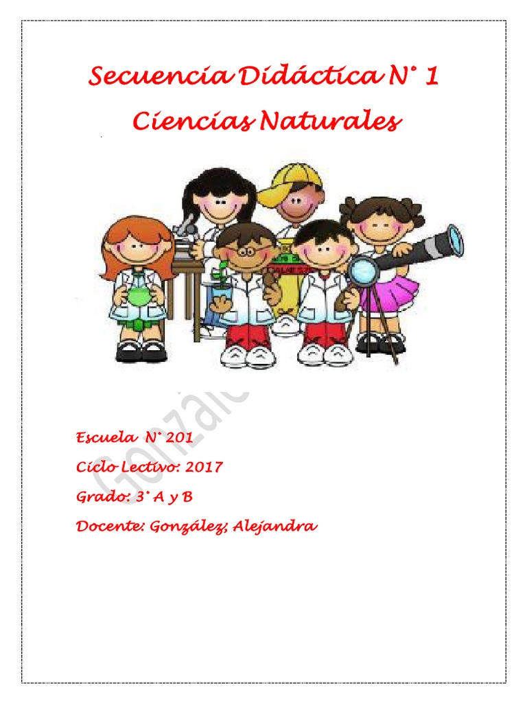 3 Grado Estructura y Funcion de Los Seres Vivos | PDF | Red alimentaria ...