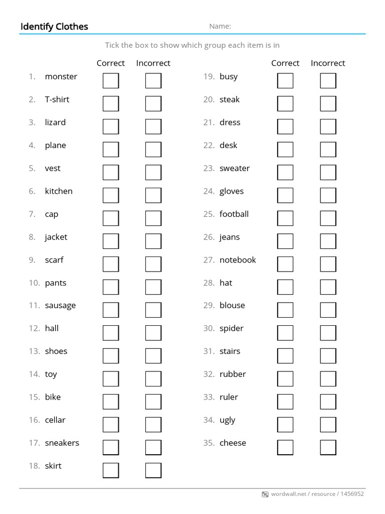 Identify Clothes: Tick The Box To Show Which Group Each Item Is in | PDF