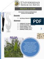 Costeo: Real, Normal y Estándar | PDF | Presupuesto | Planificación