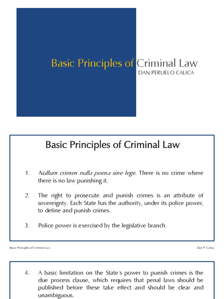 Basic Principles of Criminal Law | PDF | Facial Challenge | Vagueness ...
