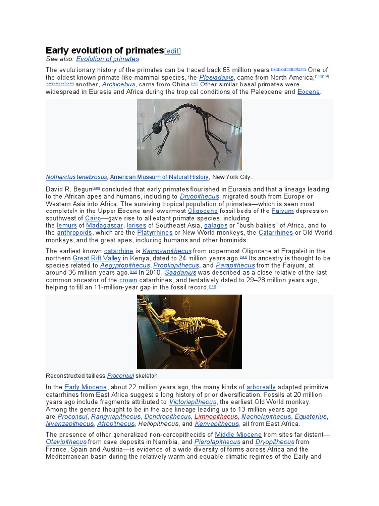 Early Evolution of Primates | PDF | Evolution Of Primates | Primate ...